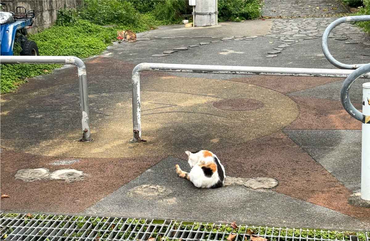 RubyKaigi 2024で印象に残ったセッションとRubyistと一緒に過ごした楽しい時間 - ファーエンドテクノロジー株式会社